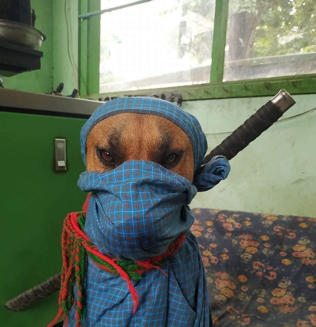 Sample Page – 嘟嘟的博客